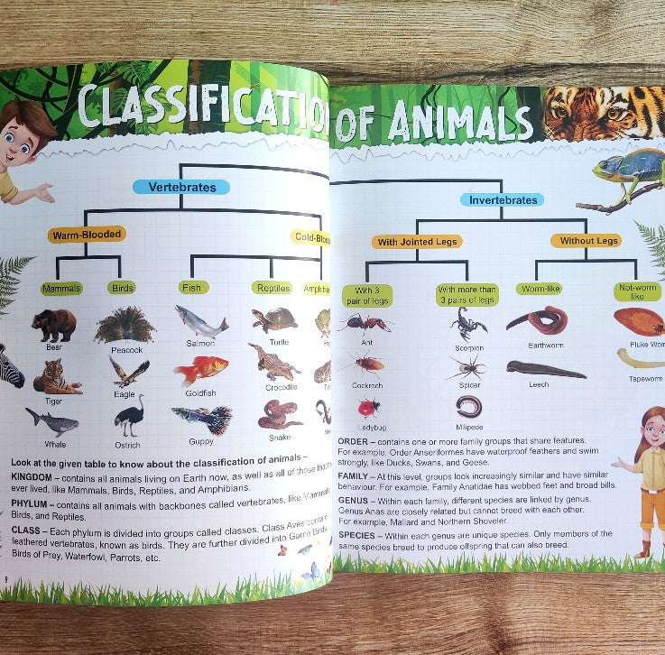 Explore Animal Kingdom Encyclopedia by Dreamland Publications ...