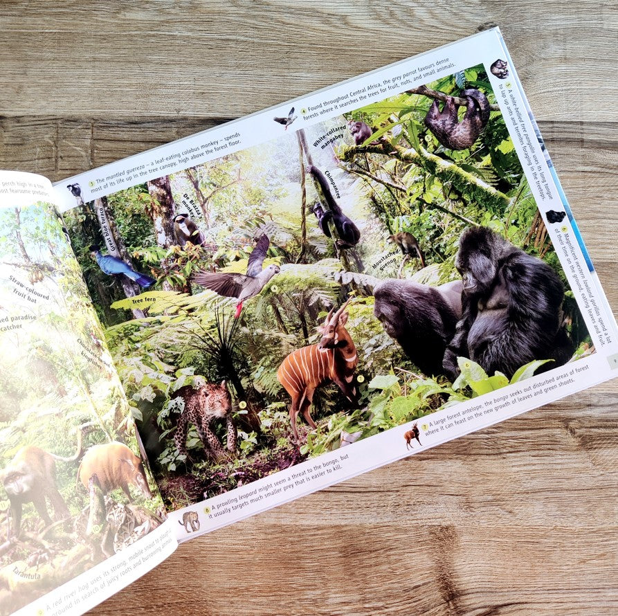 Habitats of the World by DK : Booksetgo – BOOKSETGO