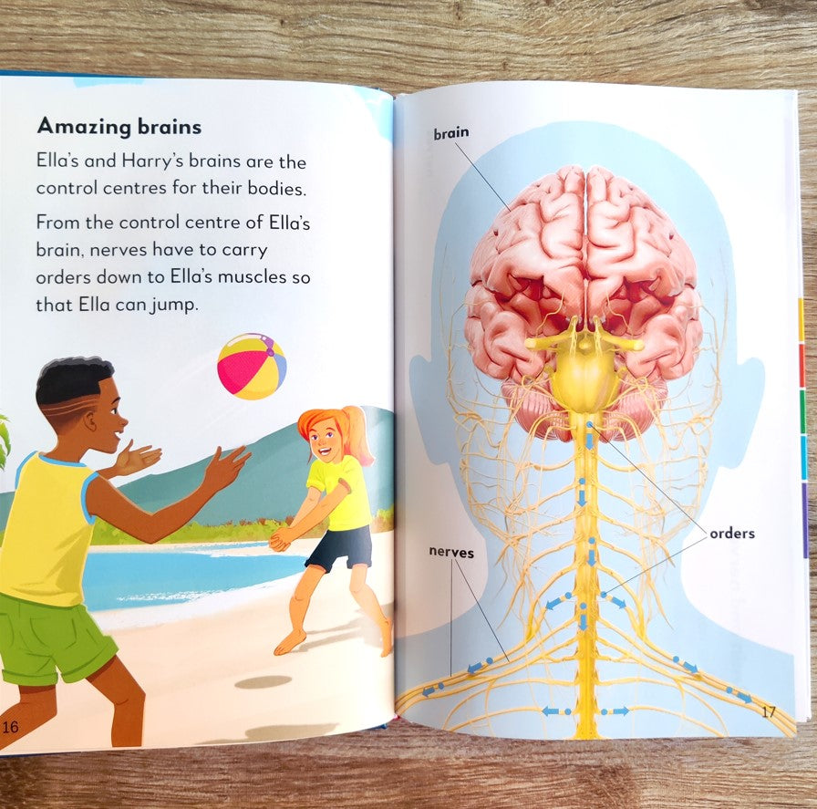 Read It Yourself: The Human Body - Level 4 Fluent Reader by Ladybird : Booksetgo – BOOKSETGO