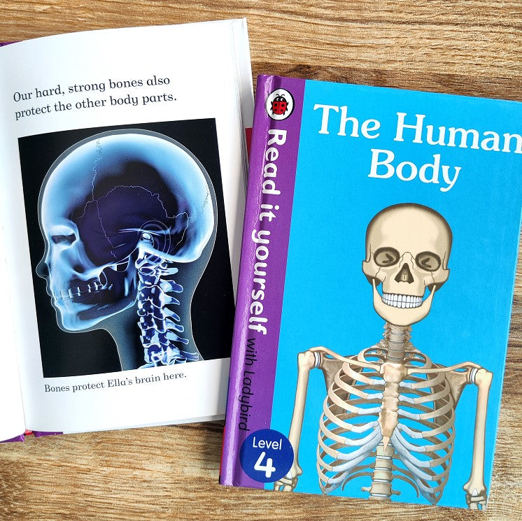 The Human Body - Read It Yourself with Ladybird Level 4 by Ladybird ...